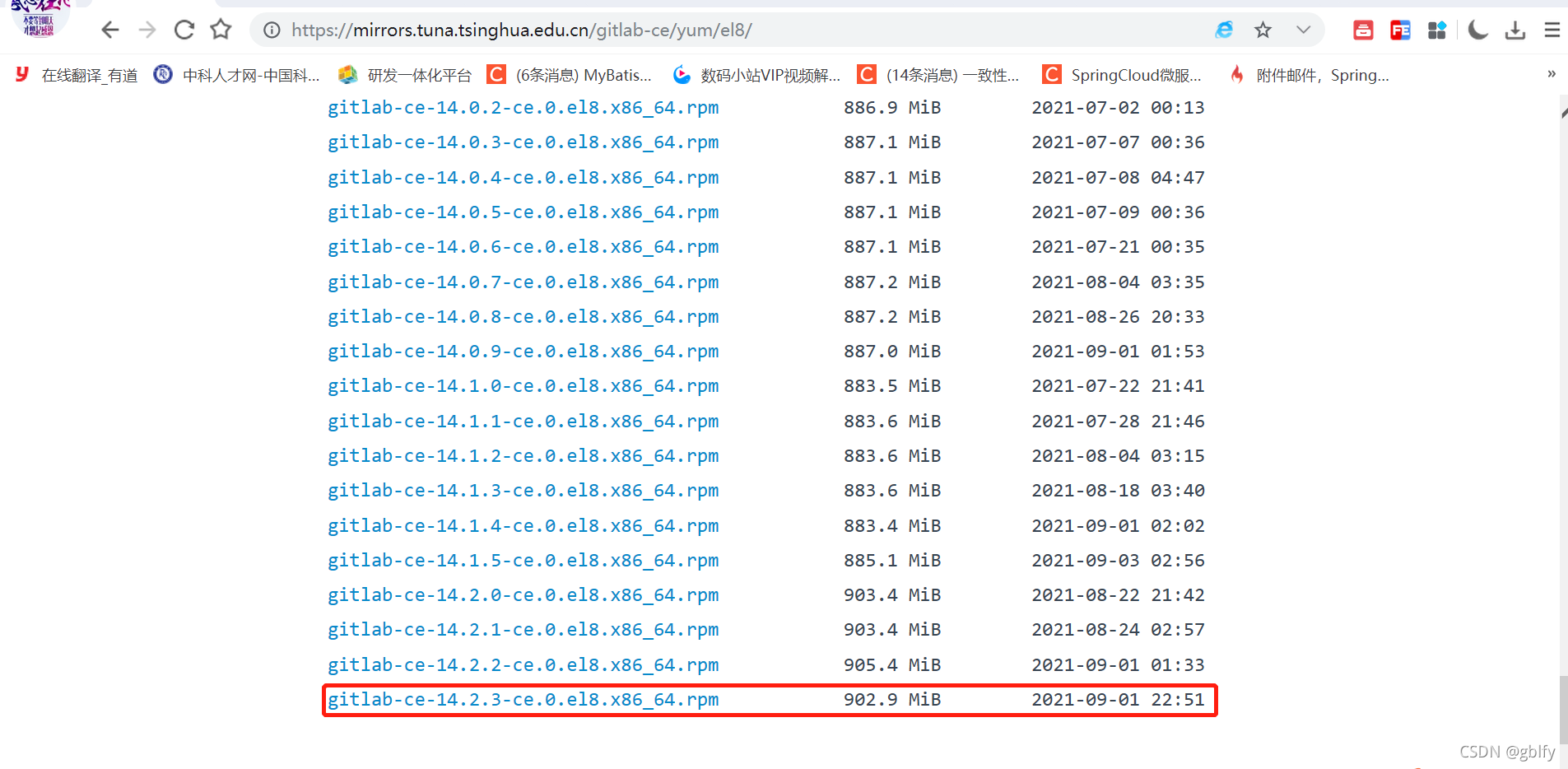 Gitlab14.x 安装、配置、启动 （Centos/Red Hat7/8.x）_gitlab14最新版安装-CSDN博客