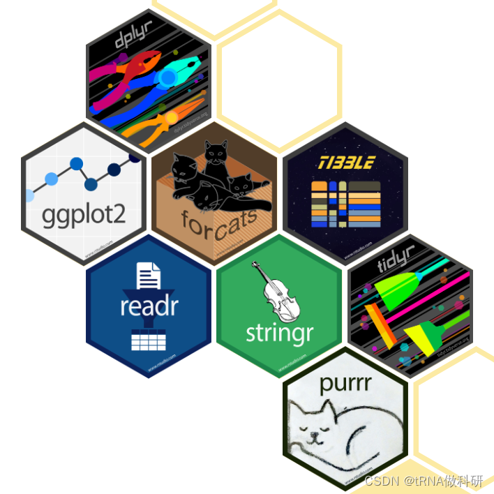 2-R语言科学可视化-ggplot2基础可视化（tidyverse包及冲突问题/散点图/线图/直方图/条形图/箱线图/扰动点图/密度曲线图）-CSDN博客