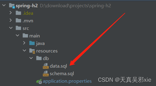 springboot引入H2数据库_spring.datasource.schema h2-CSDN博客
