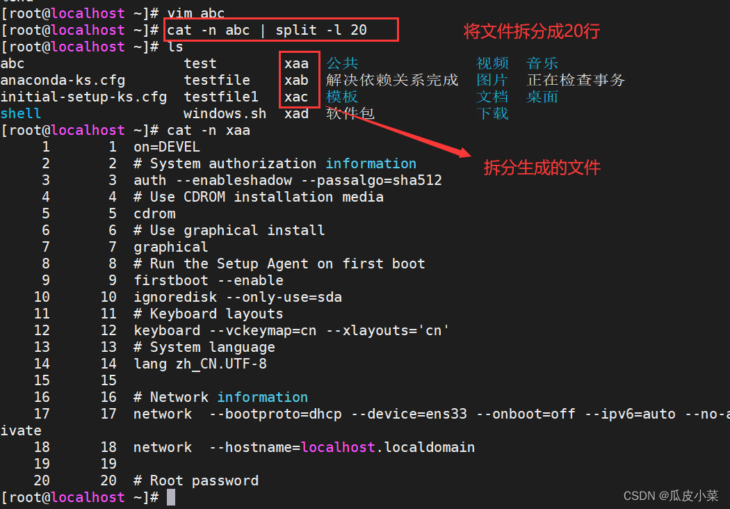 Linux基础——快捷命令补充（sort，uniq，tr，cut，expr，split，paste，eval）_linux eval expr-CSDN博客