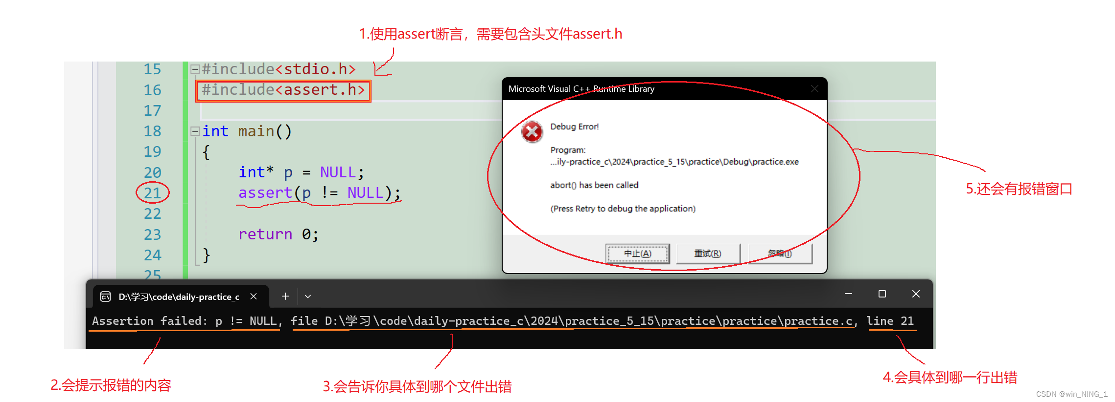 assert断言的使用_assert != null-CSDN博客