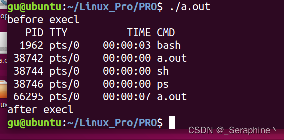 system和popen 函数-CSDN博客