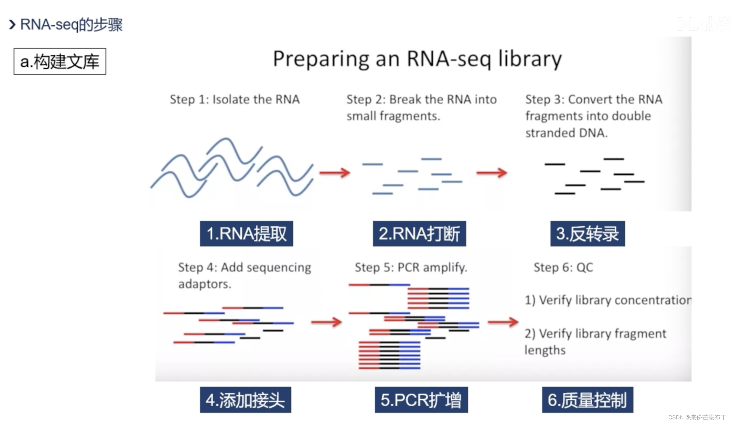 RNA-seq分析流程：从质控到差异表达,-CSDN博客