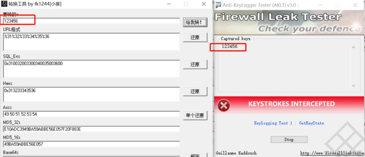 【C/S架构安全测试】客户端应用程序测试(测试项补充)_应用程序exe测试-CSDN博客