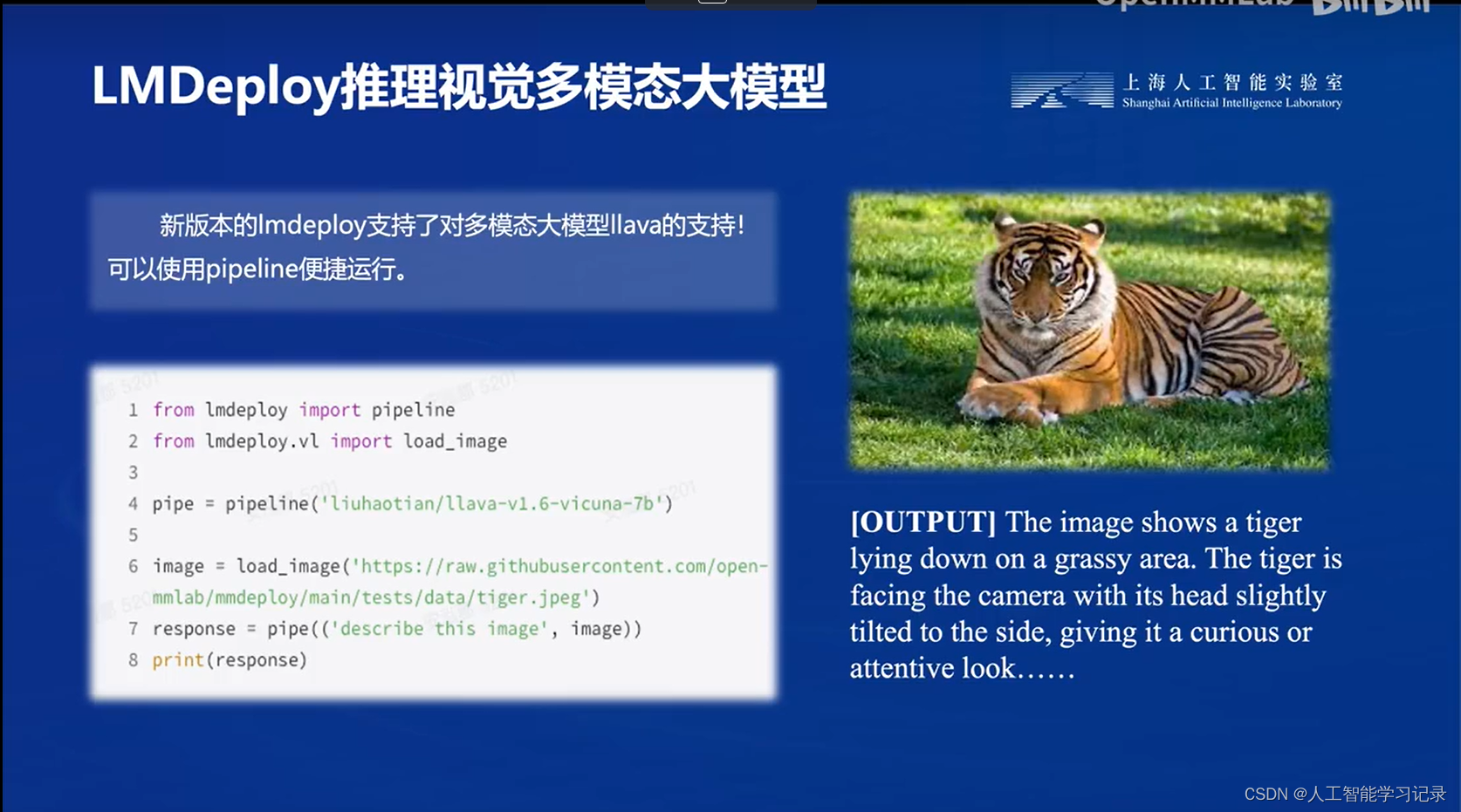 第五课：【LMDeploy 量化部署 LLM&VLM实战】笔记_llmdeploy-CSDN博客