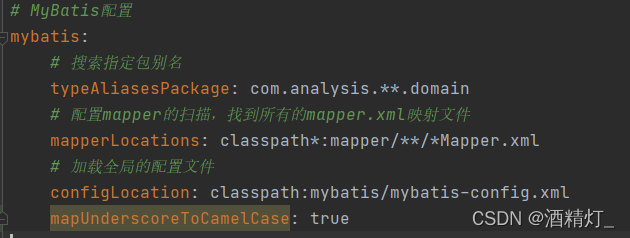 关于Mybatis查询Sql结果未映射到对应得实体类上_mybatis的resulttype映射不到-CSDN博客