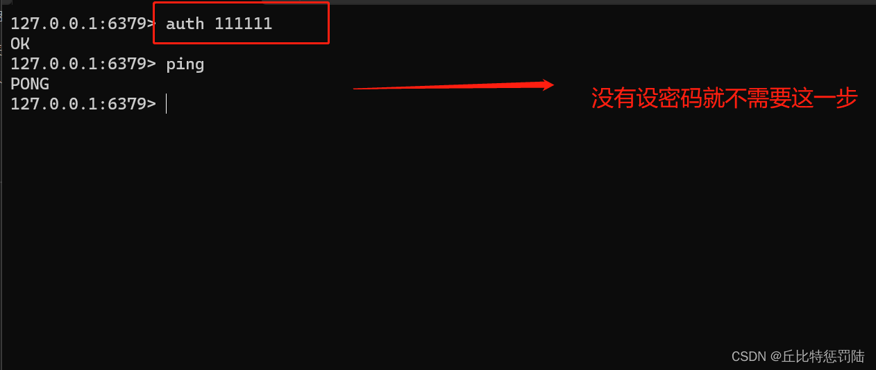 redis.clients.jedis.exceptions.JedisDataException: ERR Syntax error, try CLIENT (LIST | KILL ip ...