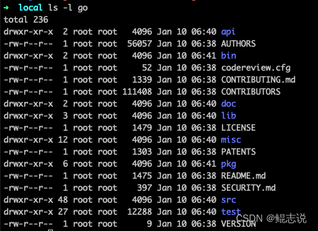 go：快速升级Go版本，我几分钟就解决了_go 升级版本-CSDN博客