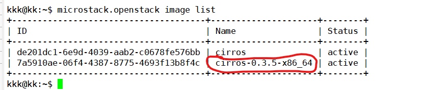 openstack之Microstack安装及其一般使用-CSDN博客