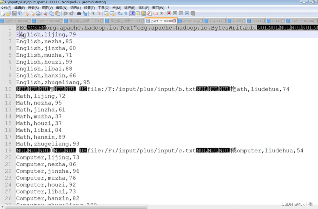 Hadoop-MapReduce的自定义输入输出_job.setinputformatclass-CSDN博客