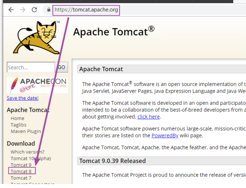 Tomact安装配置及使用(超详细)_tom select 下载使用-CSDN博客