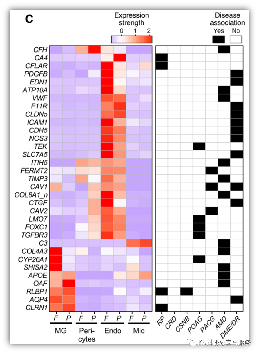 热图7：ggplot2/ComplexHeatmap做离散型热图_复现nc图表 ggplot做热图-CSDN博客