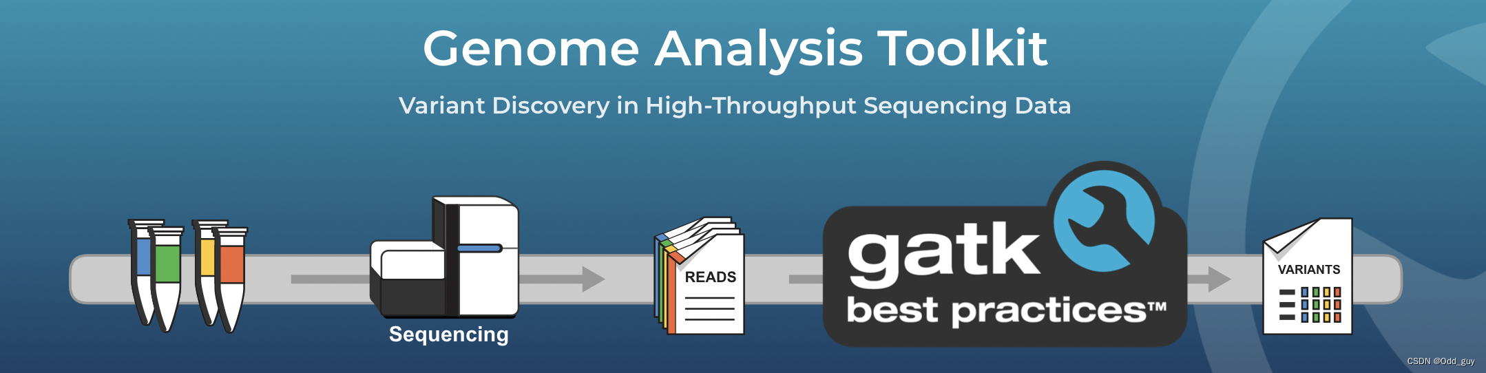 基于GATK（Genome Analysis Toolkit）进行SNP calling-CSDN博客