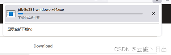 最新[新手入门教程] JDK8u381的下载安装以及环境变量的配置-CSDN博客