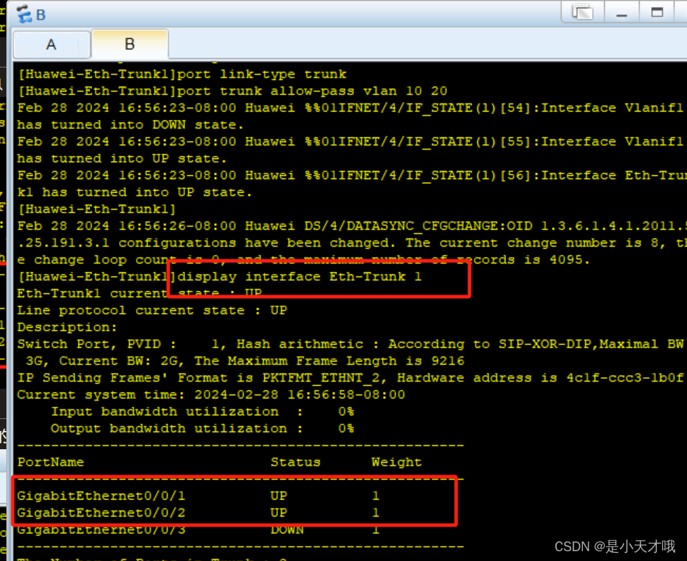 华为HCNA/HCIA路由交换学习：链路聚合与VLAN配置实践,-CSDN博客