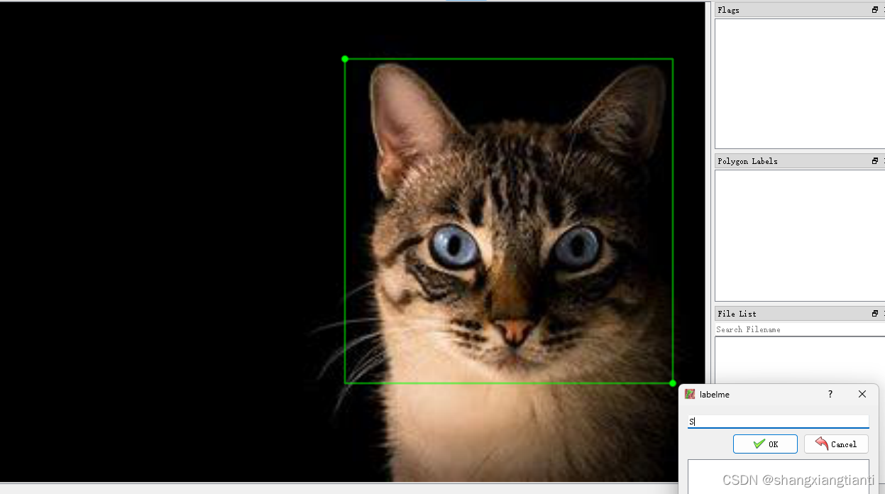 关于k230本地训练—从零开始—目标检测项目-CSDN博客