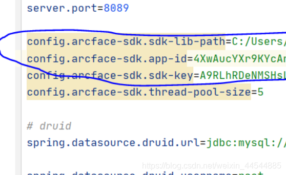 使用ArcSoft Face SDK实现实时人脸识别系统-CSDN博客