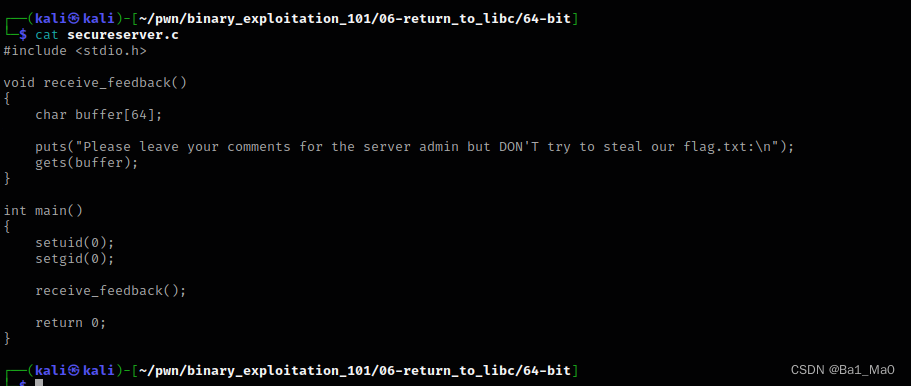 PWN入门（7）NX enabled与返回LibC库-CSDN博客