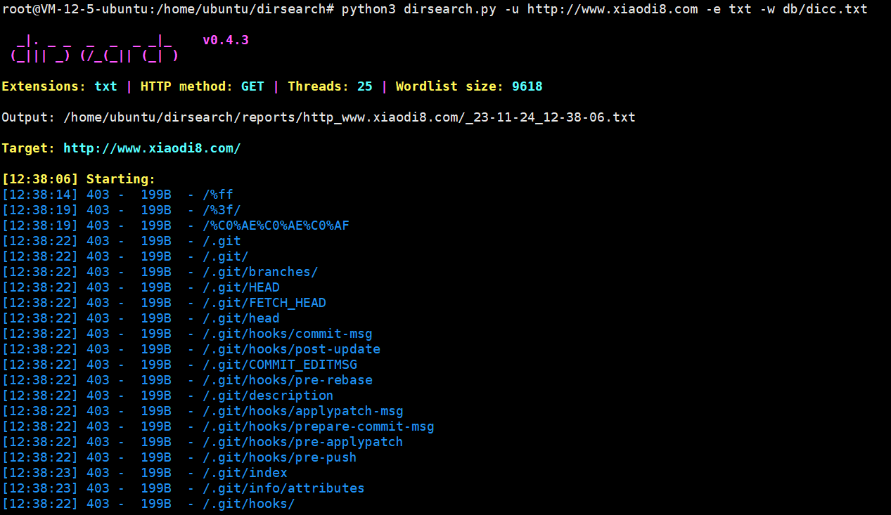 Dirsearch简单使用_dirsearch添加字典-CSDN博客