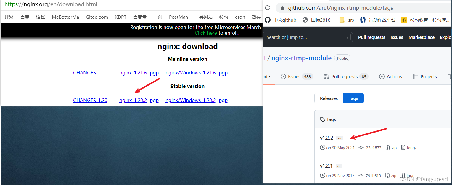 nginx-rtmp 的部署-CSDN博客