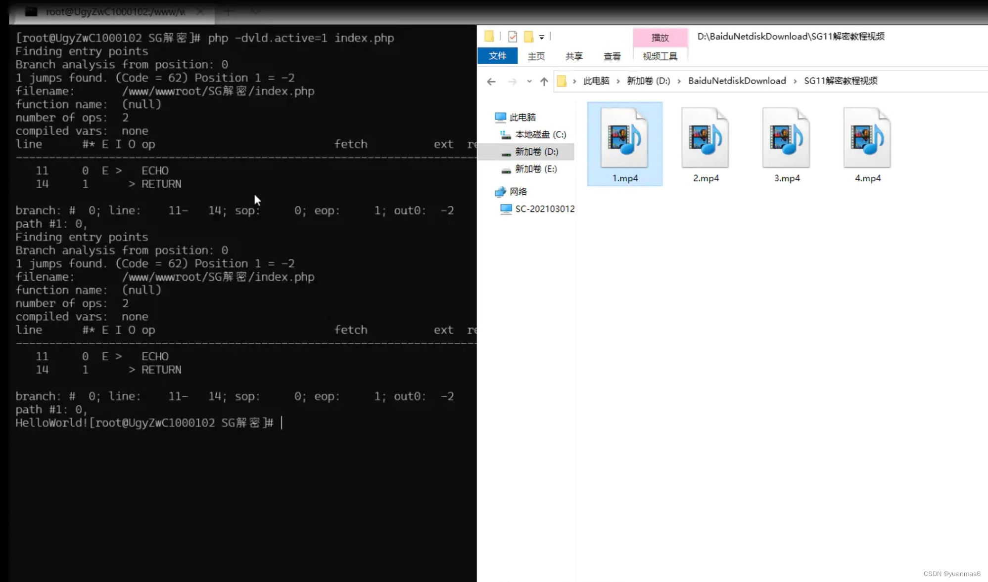 最新PHP扩展SG11解密教程分享+视频模式_sg11解密工具-CSDN博客