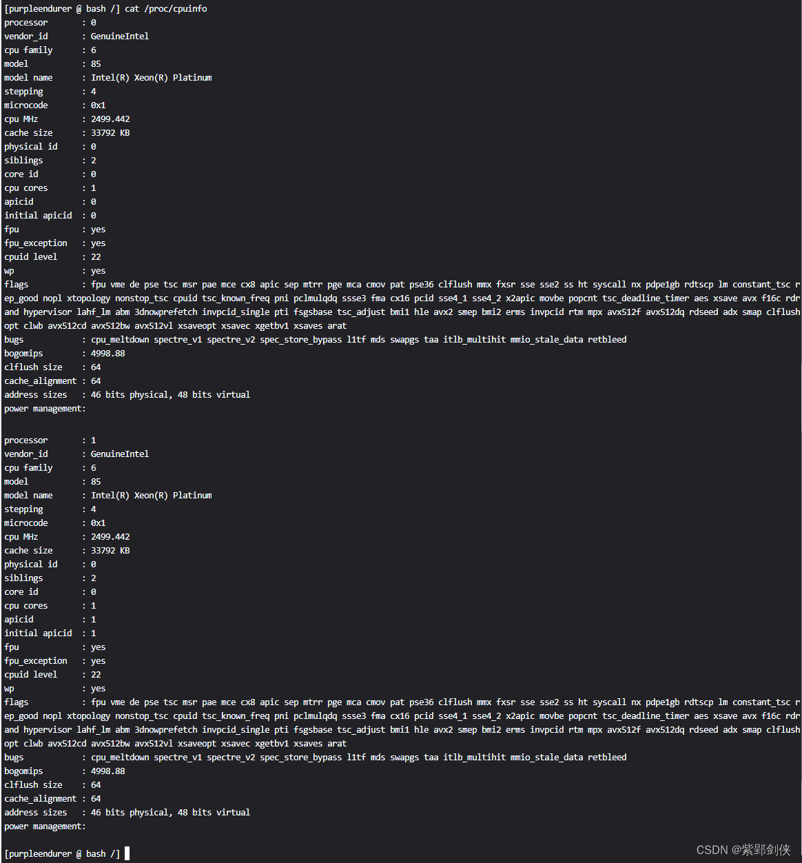Linux shell编程学习笔记51： cat /proc/cpuinfo：查看CPU详细信息_cat cpuinfo-CSDN博客