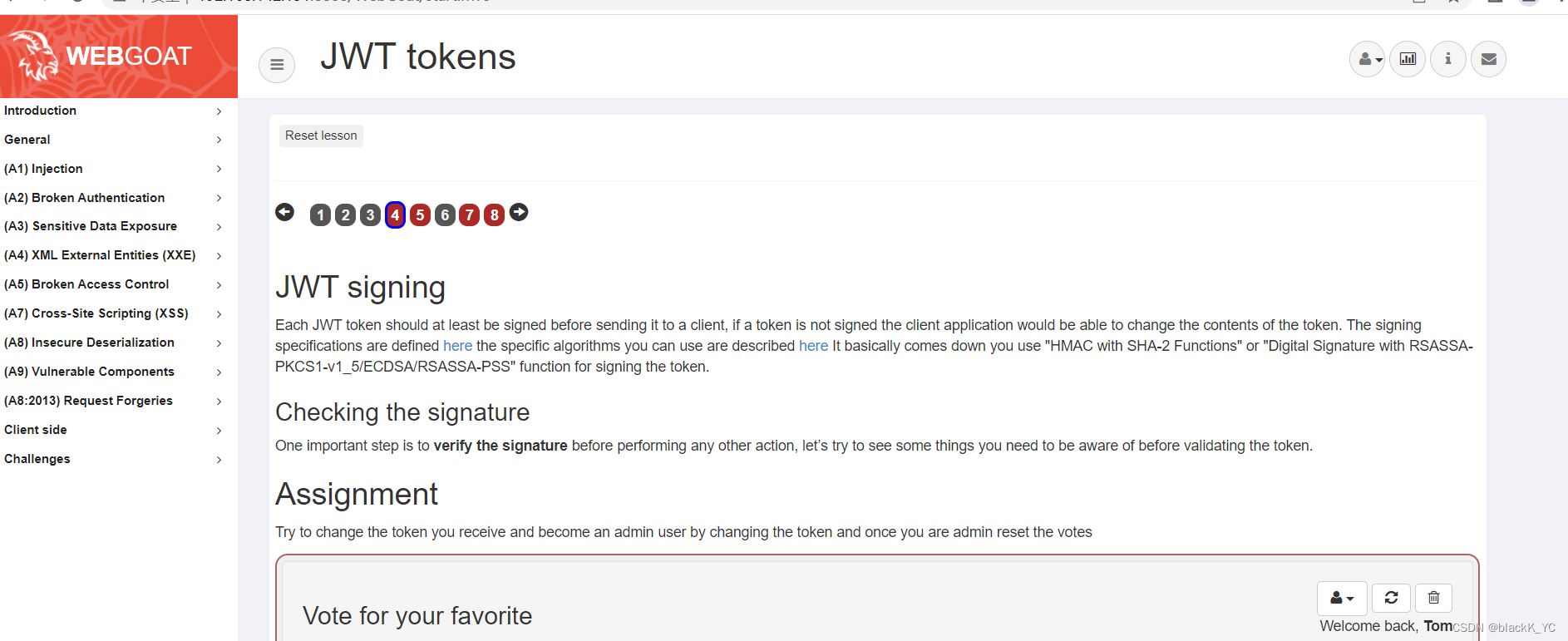 WebGoat搭建和Yakit学习_java -jar webgoat-server-8.1.0.jar --server.port=8-CSDN博客