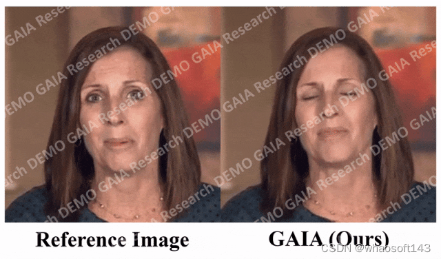 GAIA~-CSDN博客