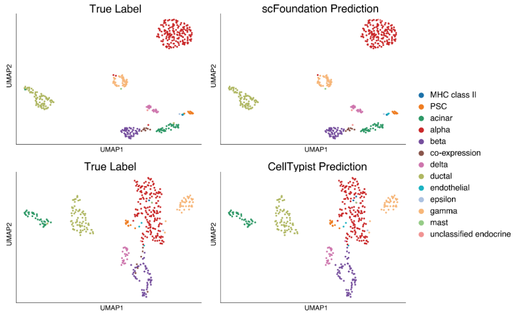nature methods | 单细胞转录组学的大基础模型scFoundation（宋乐/张学工/马剑竹）_large-scale foundation model on single ...
