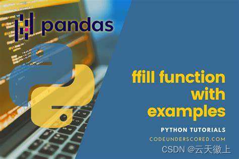 【Pandas】深入解析pandas中的统计汇总函数`ffill()`_pandas ffill-CSDN博客