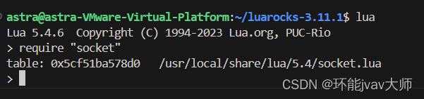 Linux系统安装Lua语言及Lua外部库_linux lua-CSDN博客