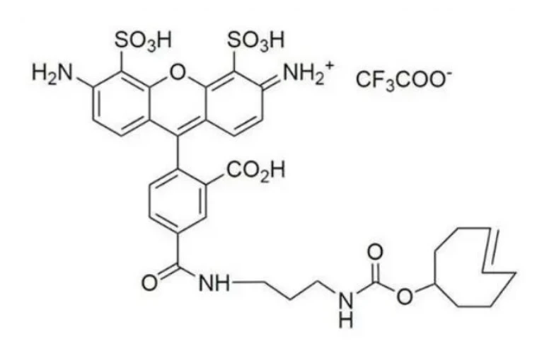 AF488 TCO，Alexa Fluor TCO，被广泛应用于活细胞内蛋白质的荧光标记-CSDN博客