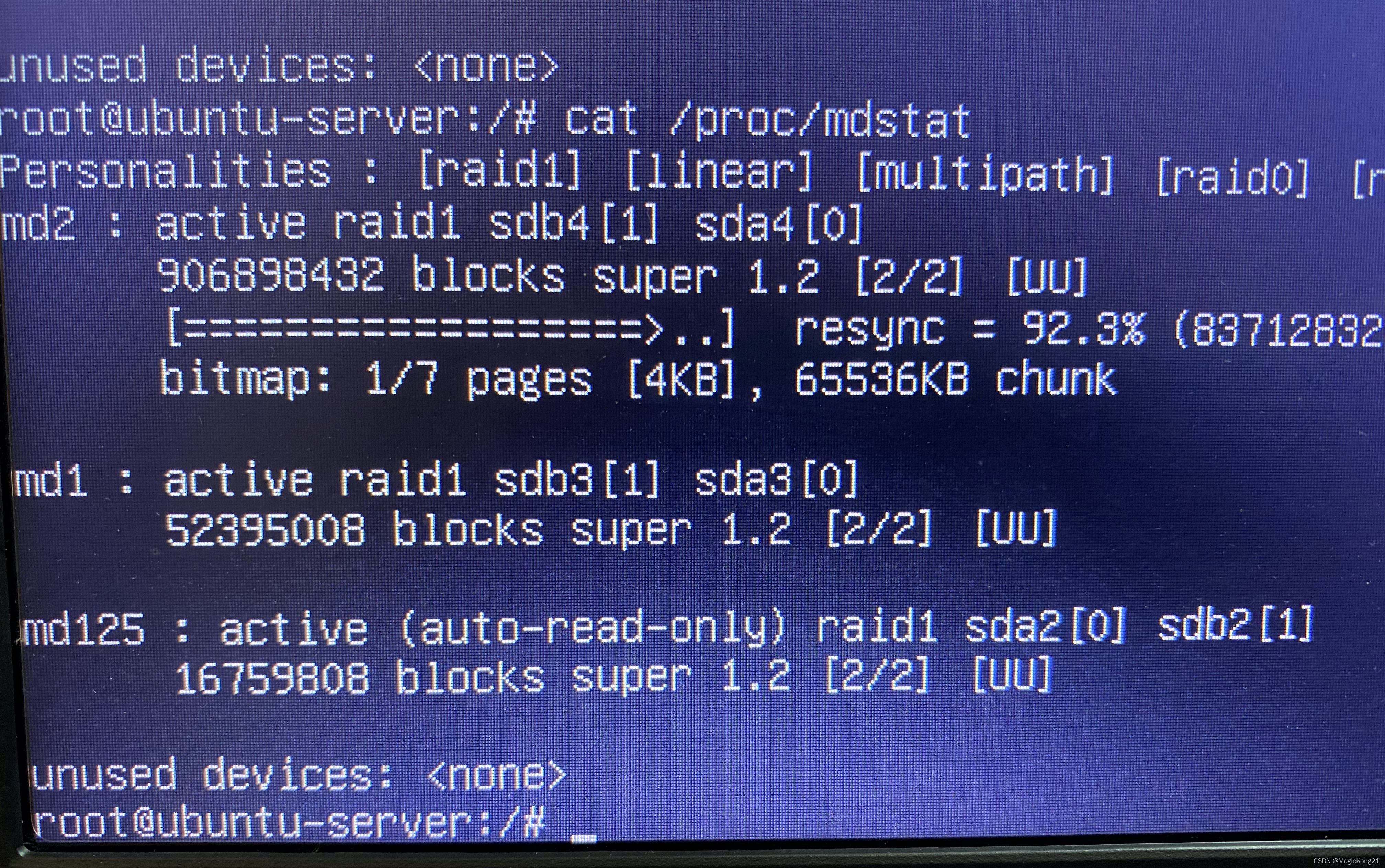 将Ubuntu 20.04.4 LTS安装在Raid（磁盘阵列）_ubuntu20.04安装系统软raid-CSDN博客