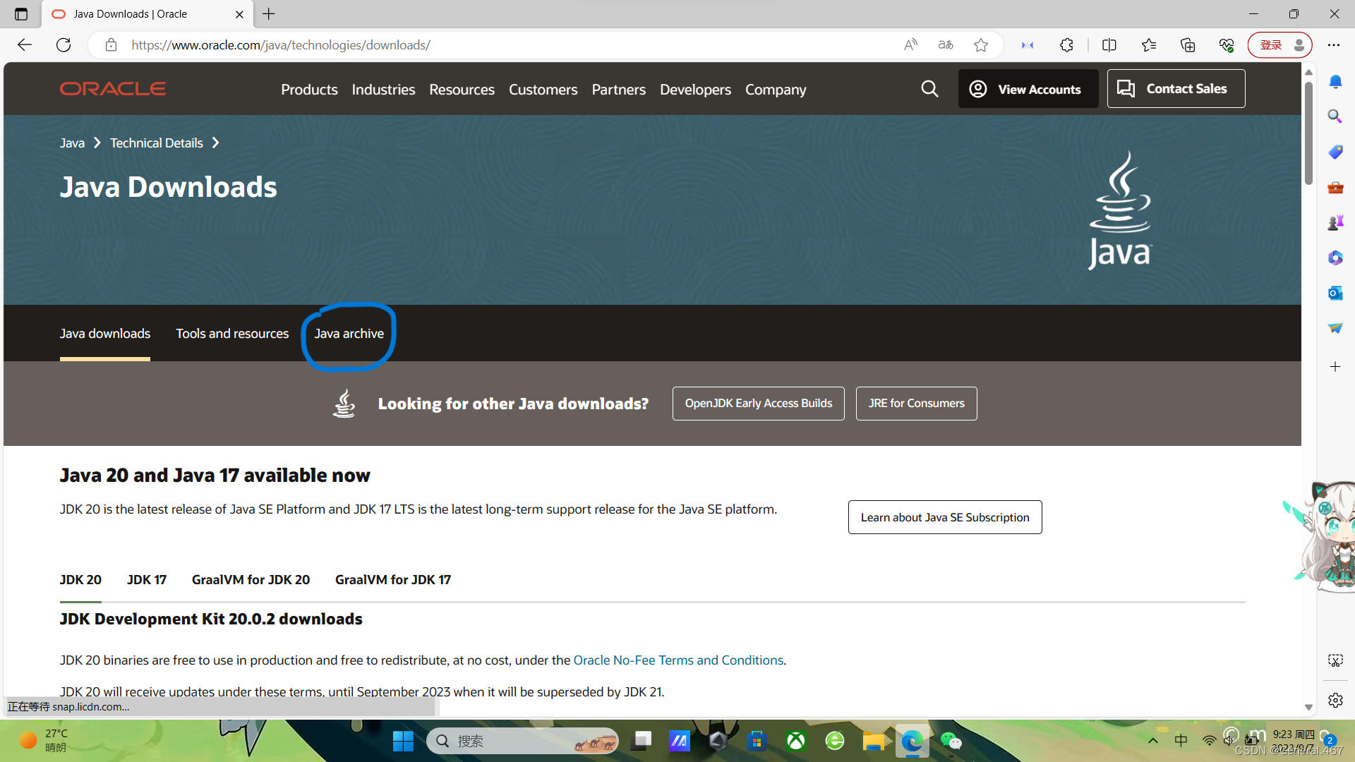 jdk的安装及其环境配置（以java11为例）_jdk11安装及配置环境-CSDN博客
