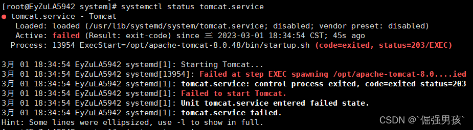 tomcat.service: control process exited, code=exited status=203-CSDN博客