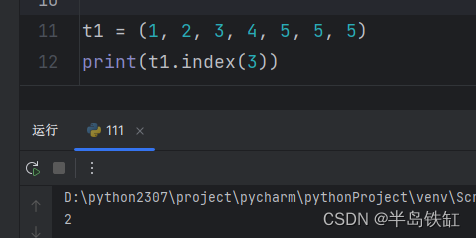 python基础:python中的特殊数据类型(元组tuple)_python 声明返回值类型tuple-CSDN博客