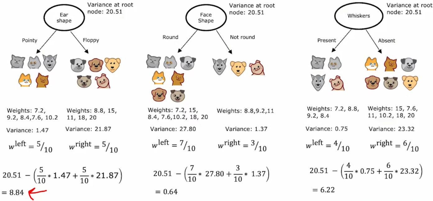 Course2-Week4-决策树_take a decision tree learning-CSDN博客