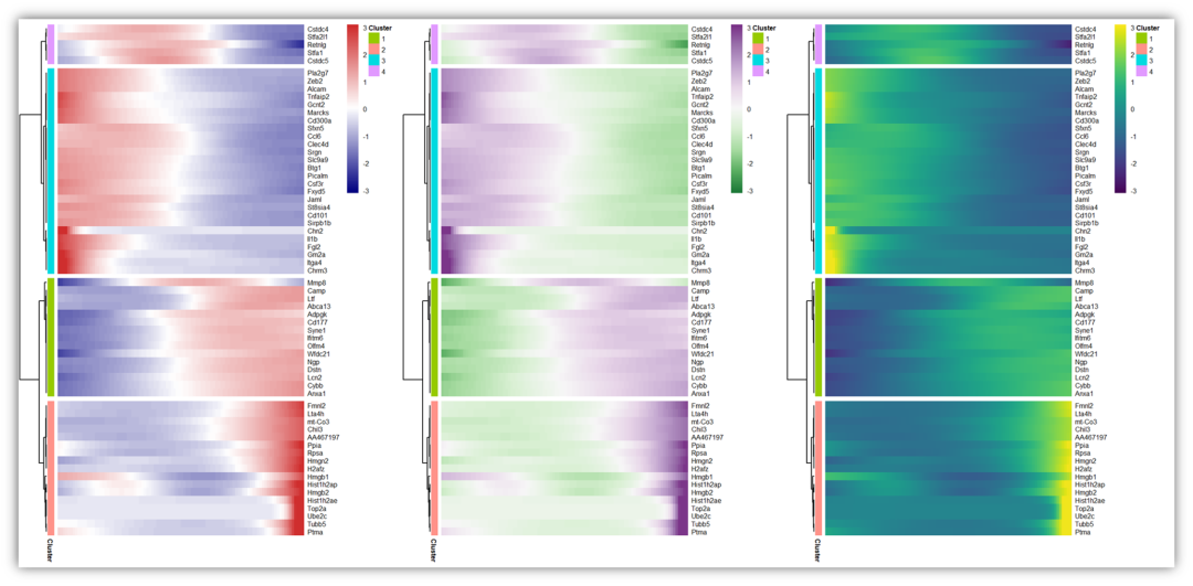 ggplot修饰monocle2拟时热图：一众问题全部解决_monocle2热图-CSDN博客