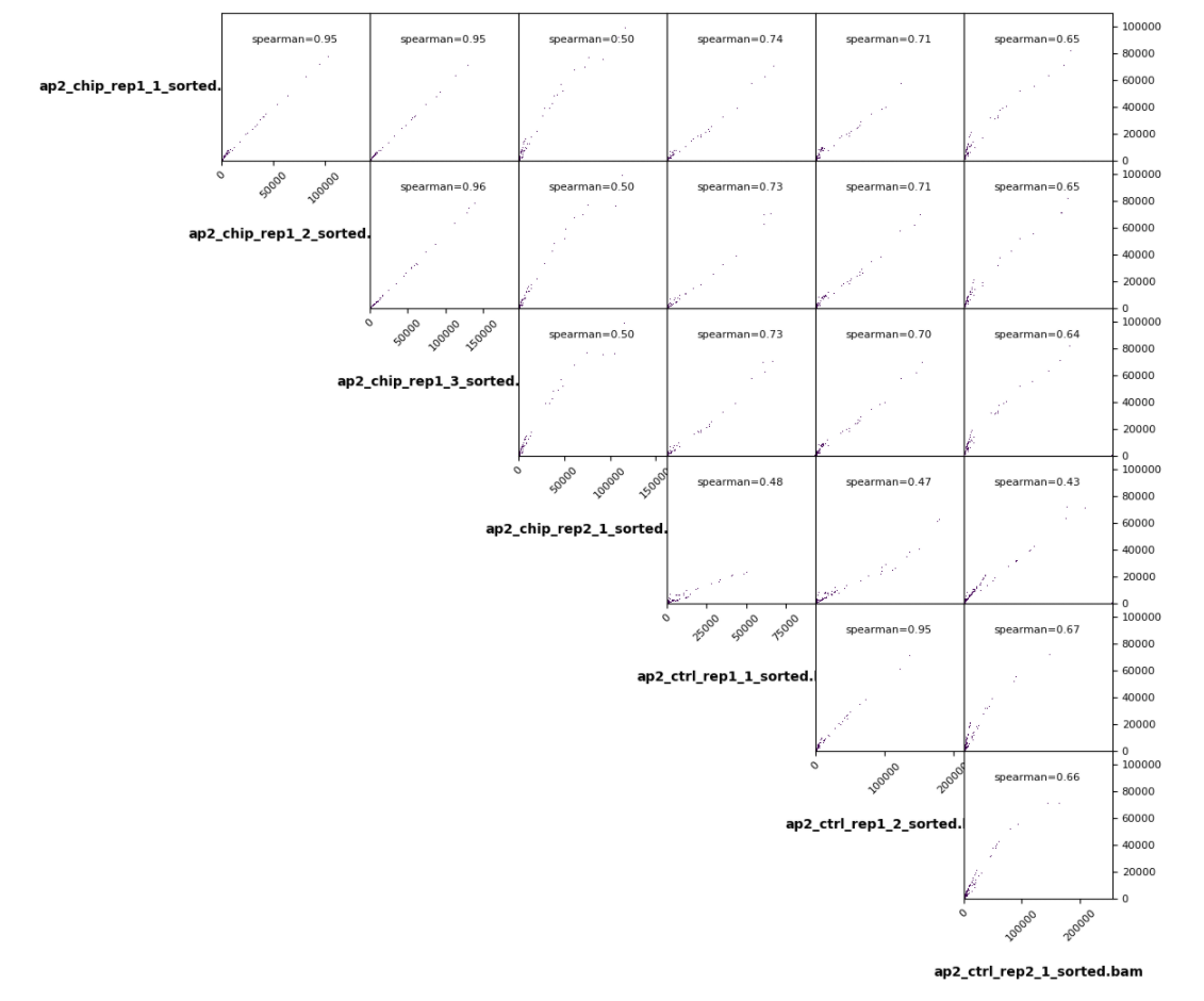如何使用deeptools处理BAM数据-CSDN博客