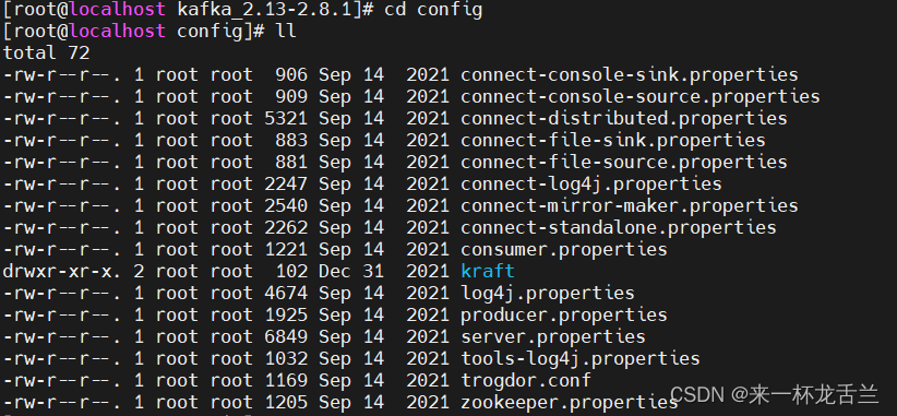 【Linux】Docker安装kafka教程（超详细保姆篇）-CSDN博客