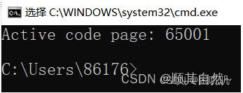 Windows CMD设置为UTF-8编码_cmd编码改为utf8-CSDN博客