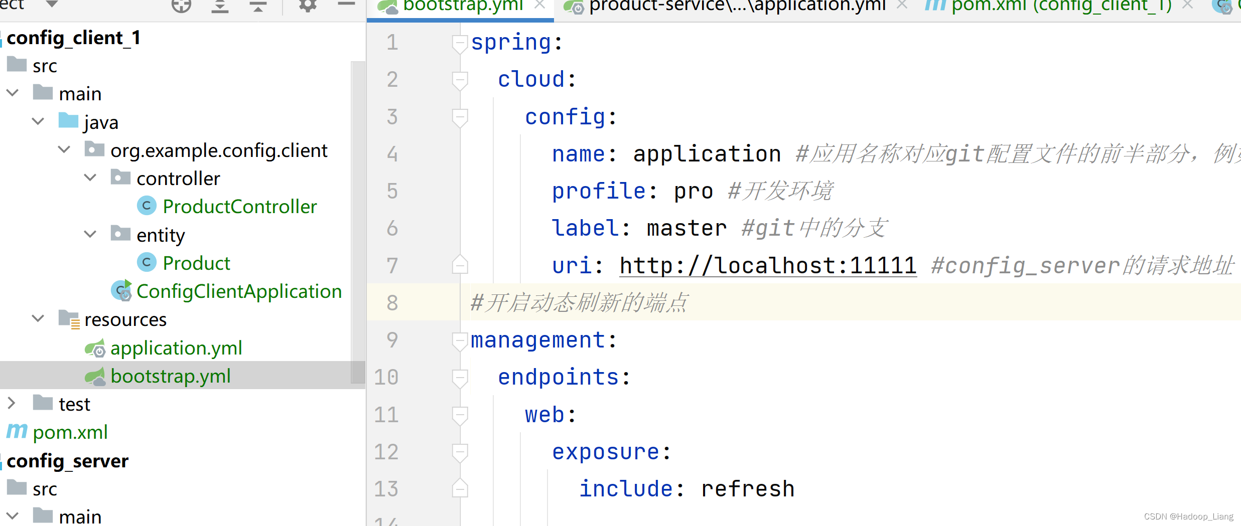 配置中心--Spring Cloud Config_spring cloud config配置中心-CSDN博客