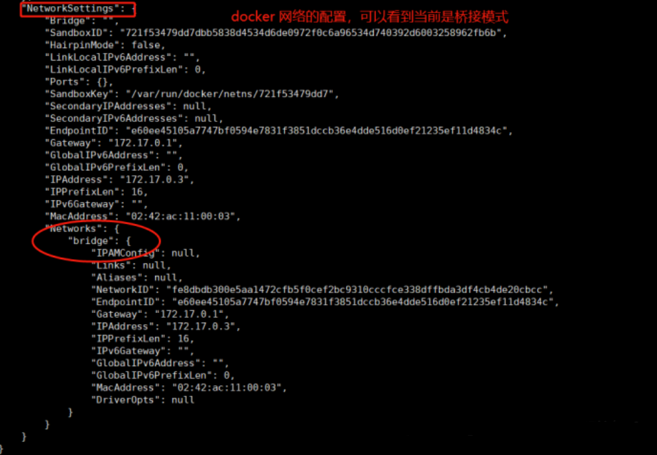 Docker这些用法，测试人必须掌握_docker测试人员需要掌握到什么程度-CSDN博客