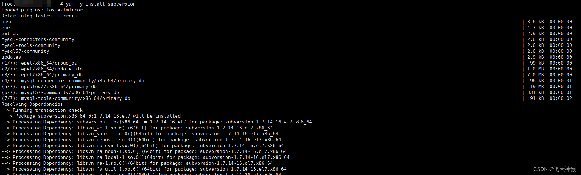 SVN安装与配置指南-CSDN博客