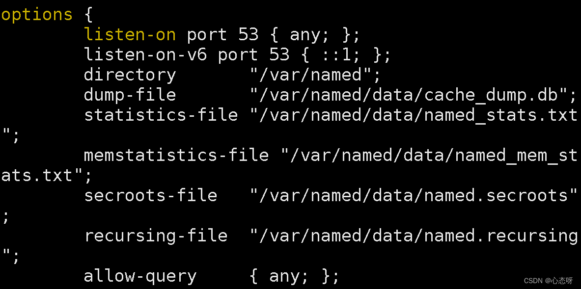 DNS服务解析_bind-license 升级-CSDN博客