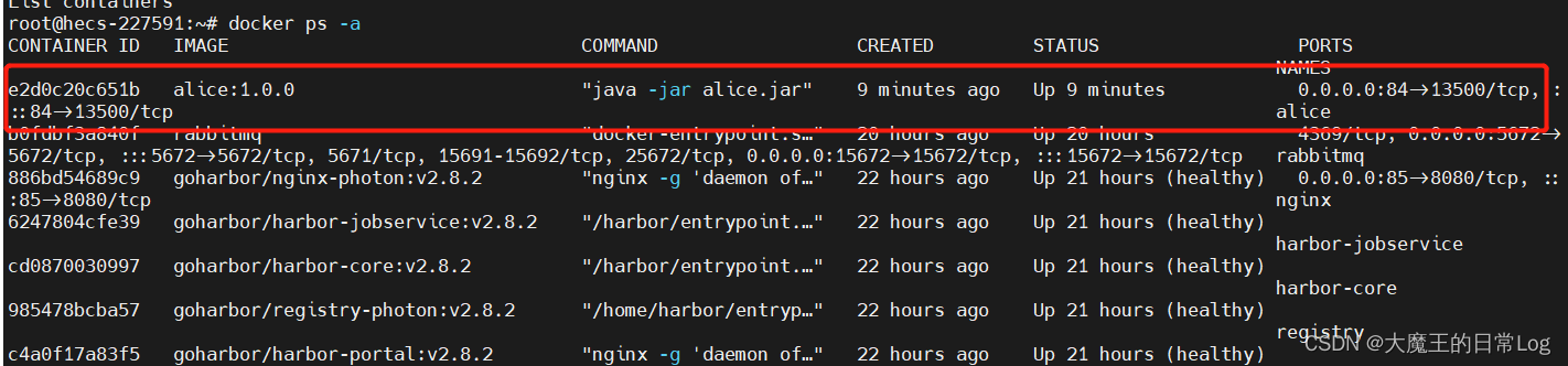 docker启动springboot项目构建的镜像 并通过Nginx配置反向代理_springboot项目对接nginx和nacos-CSDN博客