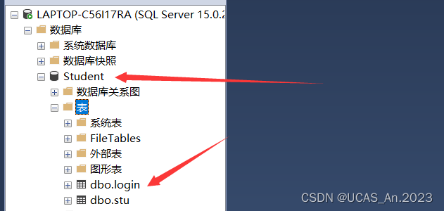学生管理系统--课程设计项目（Java+SQL server）_java和sql server 2012 课程设计‘-CSDN博客
