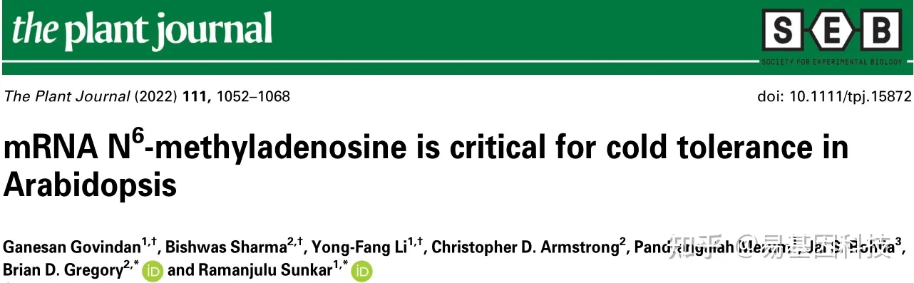 易基因：MeRIP-seq等揭示mRNA m6A甲基化调控拟南芥的抗寒性分子机制｜植物抗逆_m6a peaks的表达模式分析-CSDN博客