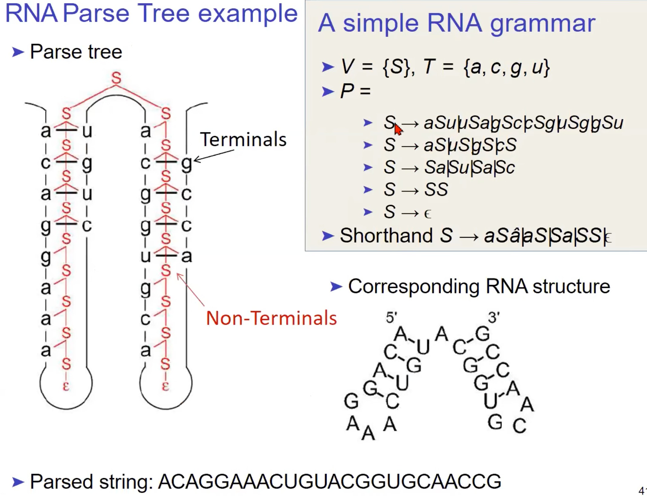 【RNA folding】RNA折叠算法与生物物理约束_rnafold-CSDN博客