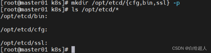 K8S二进制部署之定义CA证书与ETCD_etcd-key etcd-cert etcd-ca-CSDN博客